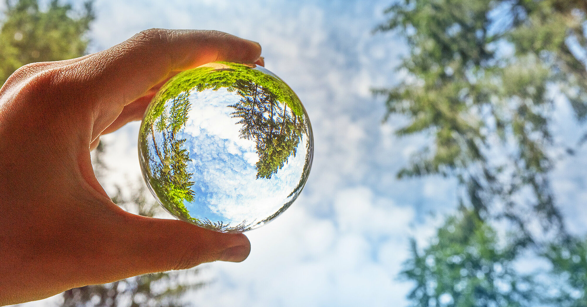 Nachhaltigkeit | R+F